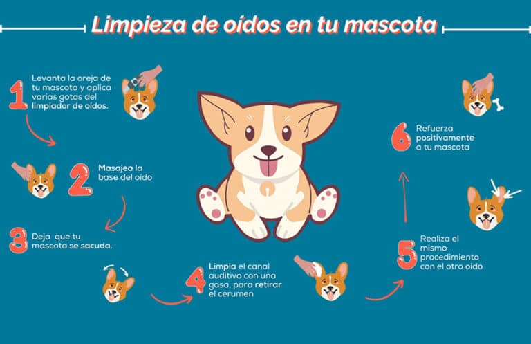 OTITIS EN PERROS